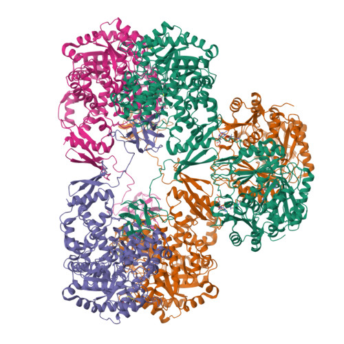 RCSB PDB - 7WTB: Cryo-EM structure of human pyruvate carboxylase with ...