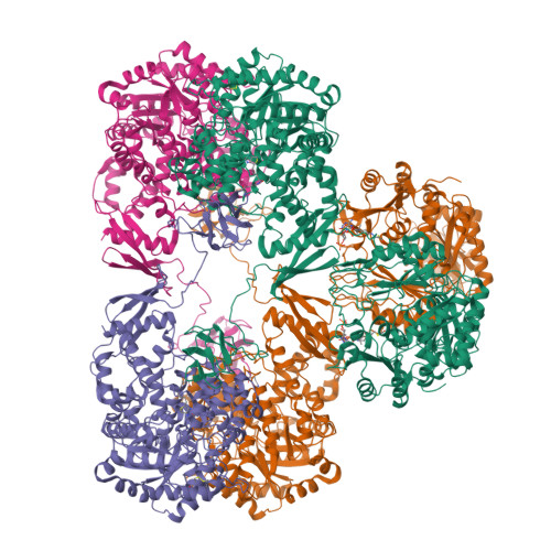 RCSB PDB - 7WTC: Cryo-EM structure of human pyruvate carboxylase with ...