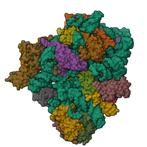 RCSB PDB - 7WTL: Cryo-EM structure of a yeast pre-40S ribosomal subunit ...