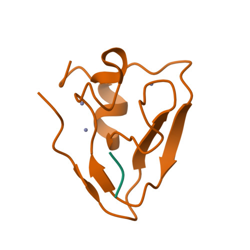 RCSB PDB - 7WUM: Crystal structure of UBR box from PRT6 (RDG pH 8.5)