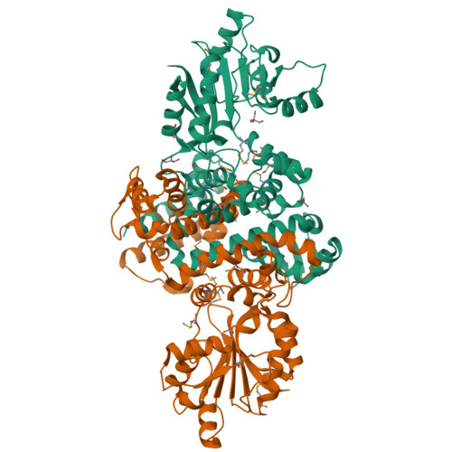 RCSB PDB - 7WUP: The crystal structure of ApiI