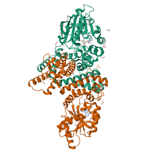 RCSB PDB - 7WVS: The structure of FinI complex with SAM