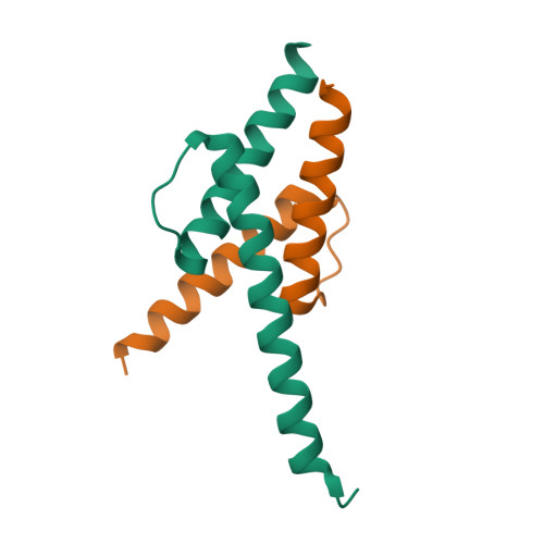 RCSB PDB - 7WZ6: Crystal structure of MyoD-E47