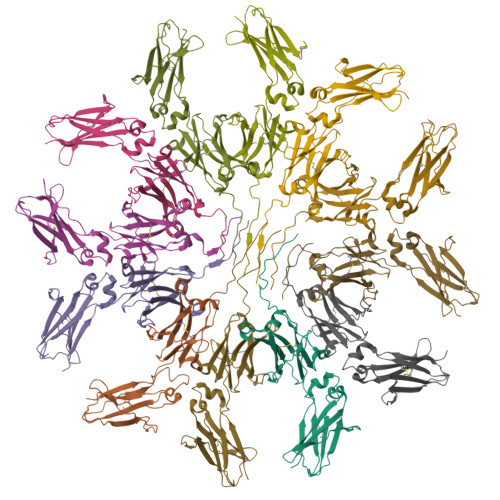 RCSB PDB - 7X13: Structure of IgG-Fc hexamer
