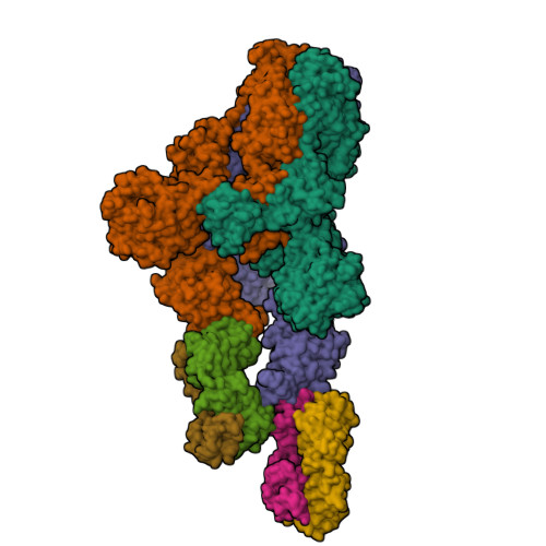 RCSB PDB - 7X29: MERS-CoV spike complex with S41 neutralizing antibody ...