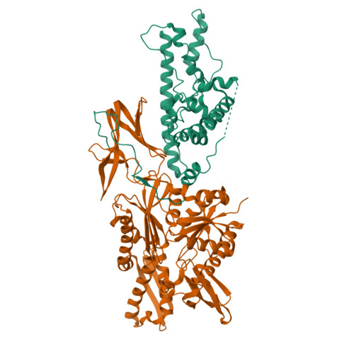 RCSB PDB - 7X3K: Cryo-EM structure of RAC in the State C2 RNC-RAC complex