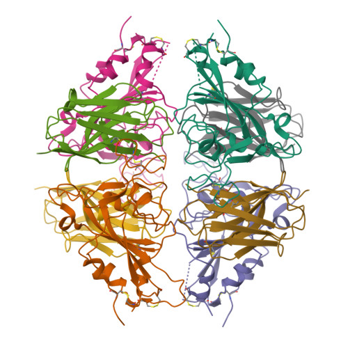 RCSB PDB - 7X4I: Crystal structure of nanobody aSA3 in complex with ...