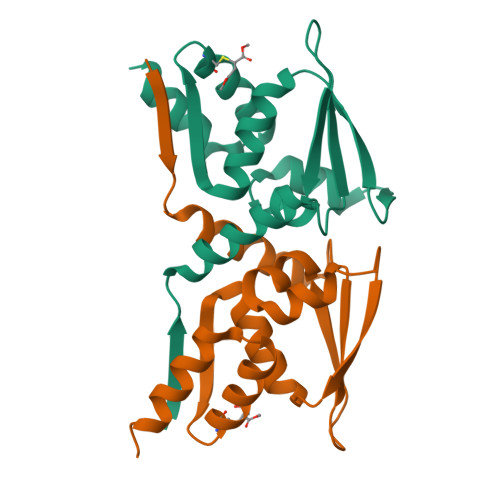 RCSB PDB - 7X4W: Crystal structure of Keap1 BTB domain in complex with ...