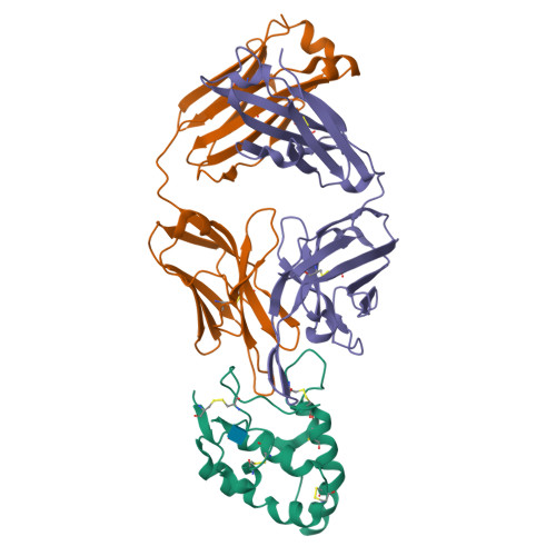 RCSB PDB - 7X8P: Frizzled 2 CRD in complex with pF7_A5 Fab