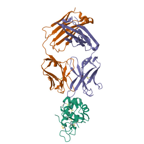 RCSB PDB - 7X8Q: Frizzled-10 CRD in complex with F10_A9 Fab