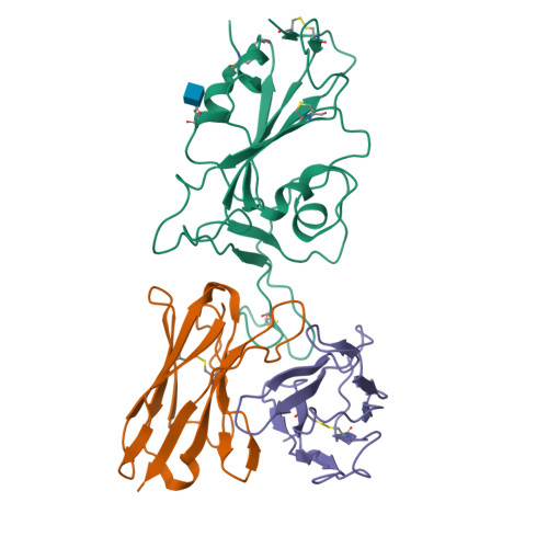 RCSB PDB - 7X8Z: The SARS-CoV-2 receptor binding domain bound with the Fab fragment of a human ...