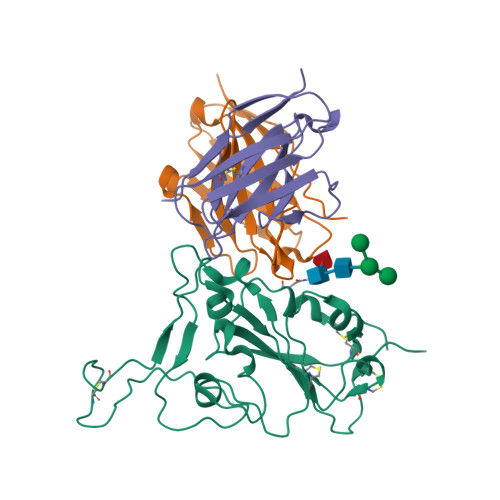 RCSB PDB - 7X96: The SARS-CoV-2 receptor binding domain bound with the Fab fragment of a human ...