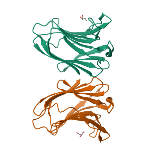 RCSB PDB - 7XAC: Dimeric structure of human galectin-7 in complex with ...