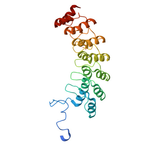 RCSB PDB - 7XCE: Crystal structure of Ankyrin G in complex with neurofascin