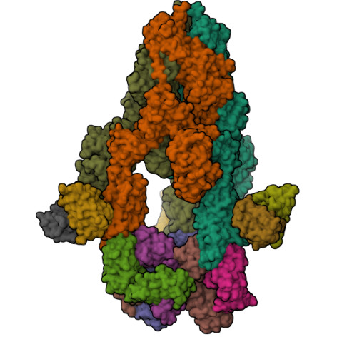 RCSB PDB - 7XDK: Cryo-EM structure of SARS-CoV-2 Delta Spike protein in complex with BA7054 and ...