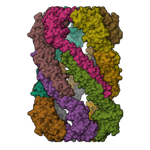 RCSB PDB - 7XDT: Structural basis for Gemin5 decamer-mediated mRNA binding