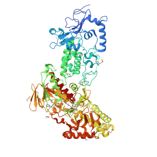 RCSB PDB - 7XE1: Crystal structure of LSD2 in complex with cis-4-Br-PCPA