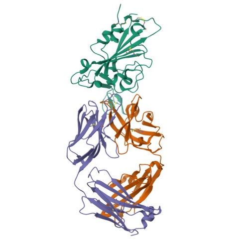 RCSB PDB - 7XEG: SARS-CoV-2-Beta-RBD and CB6-092-Fab complex