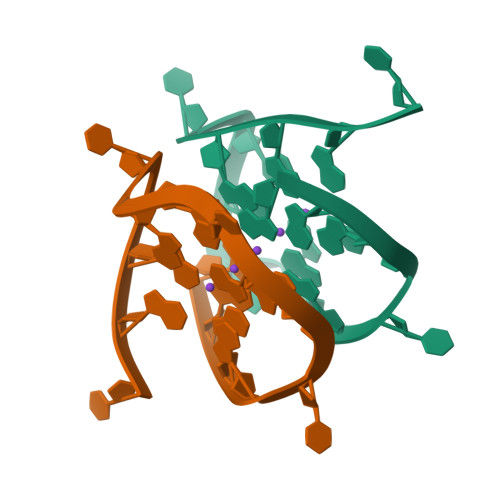 RCSB PDB - 7XHD: Crystal structure of a dimeric interlocked parallel G-quadruplex