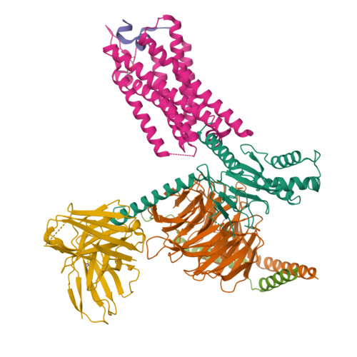 RCSB PDB - 7XJJ: Cryo-EM structure of the galanin-bound GALR1-miniGo ...