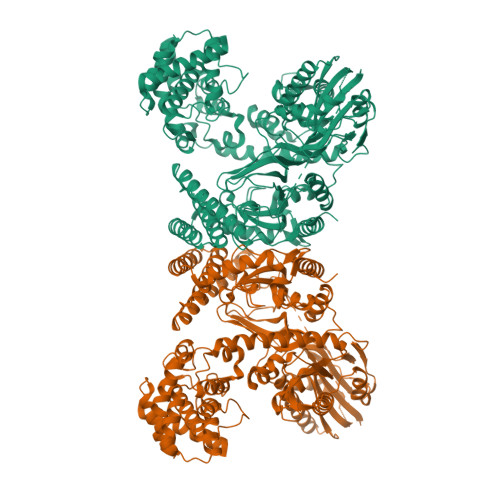 RCSB PDB - 7XJY: Cryo-EM structure of Oryza sativa plastid glycyl-tRNA ...