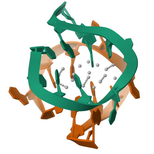 RCSB PDB - 7XLW: Crystal structure of a NIR-emitting DNA-stabilized ...
