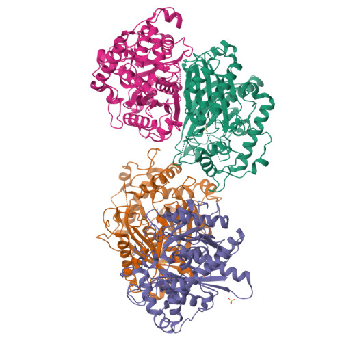 RCSB PDB - 7XLY: Crystal structure of FadA2 (Rv0243) from the fatty ...