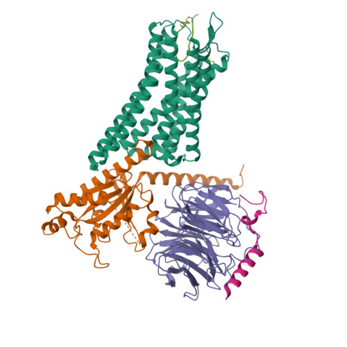 RCSB PDB - 7XMR: CryoEM structure of the somatostatin receptor 2 (SSTR2 ...