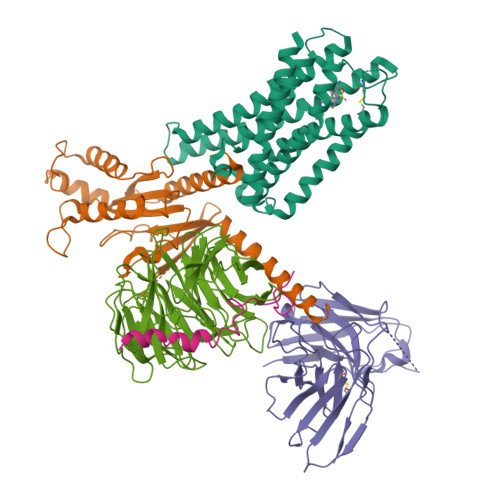 RCSB PDB - 7XMT: CryoEM structure of somatostatin receptor 4 (SSTR4 ...
