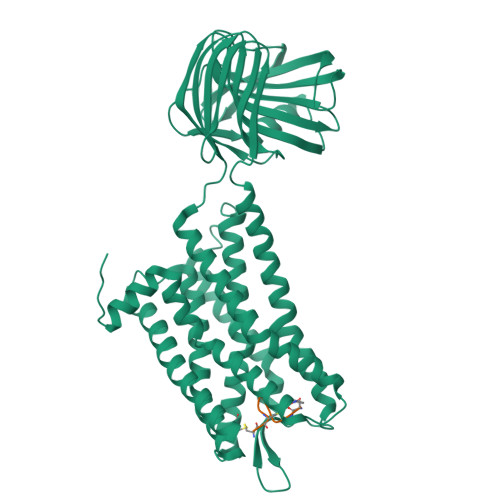 RCSB PDB - 7XNA: Crystal structure of somatostatin receptor 2 (SSTR2 ...