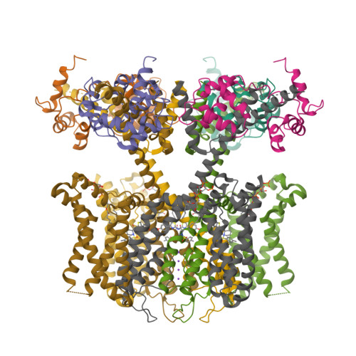 RCSB PDB - 7XNN: human KCNQ1-CaM-ML277-PIP2 complex in state B