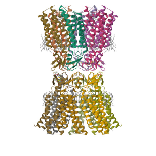 RCSB PDB - 7XNV: Structurally hetero-junctional human Cx36/GJD2 gap ...