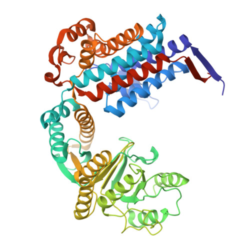 RCSB PDB - 7XOS: Cryo-EM structure of occupied ring subunit 4 (OR4) of ...