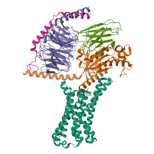 RCSB PDB - 7XP5: Cryo-EM structure of a class T GPCR in ligand-free state