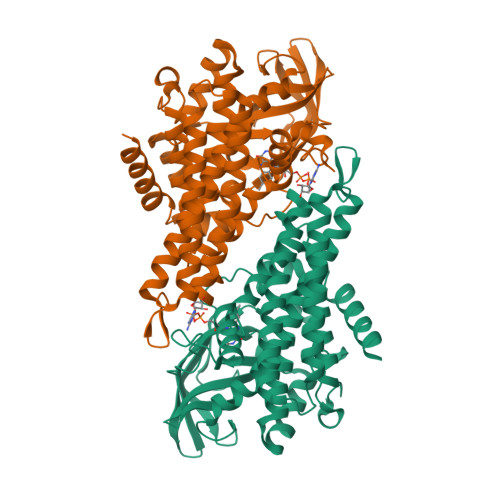 RCSB PDB - 7XP7: Crystal Structure of the Flavoprotein ColB1 Catalyzing ...