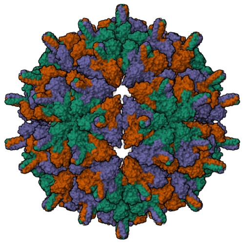 RCSB PDB - 7XPA: Cryo-EM structure of the T=3 lake sinai virus 2 virus ...