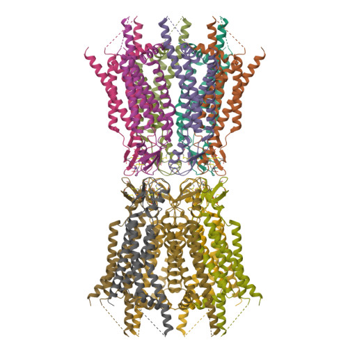 RCSB PDB - 7XQ9: Structure of connexin43/Cx43/GJA1 gap junction ...