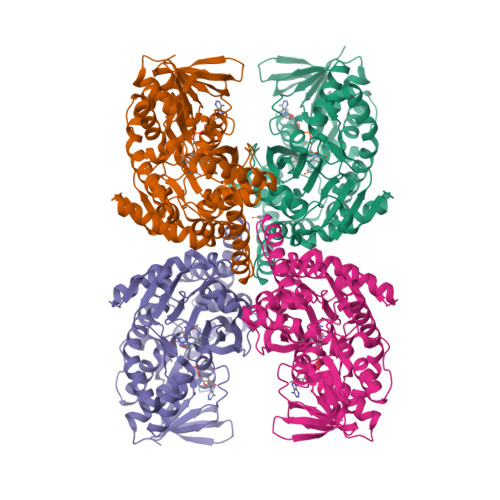RCSB PDB - 7XQA: Orf1-glycine complex