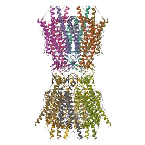 RCSB PDB - 7XQF: Structure of C-terminal truncated connexin43/Cx43/GJA1 ...