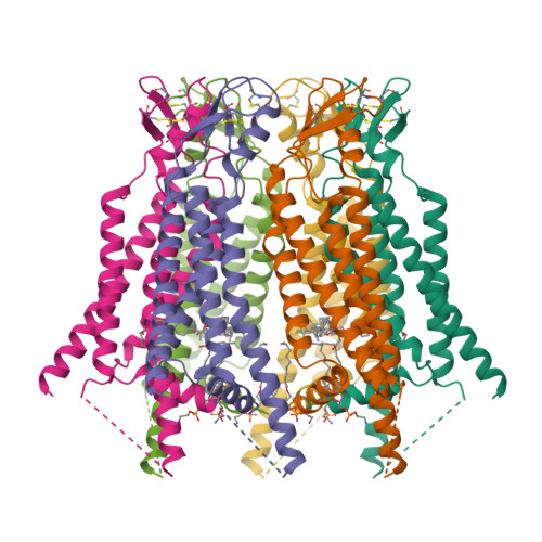 RCSB PDB - 7XQG: Hemichannel-focused structure of C-terminal truncated ...