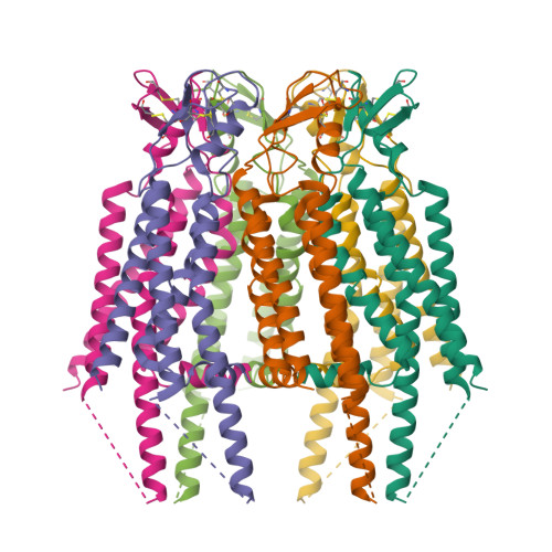 RCSB PDB - 7XQI: Hemichannel-focused structure of C-terminal truncated ...
