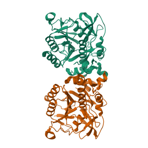 RCSB PDB - 7XR8: Structure of the S8 family protease A4095