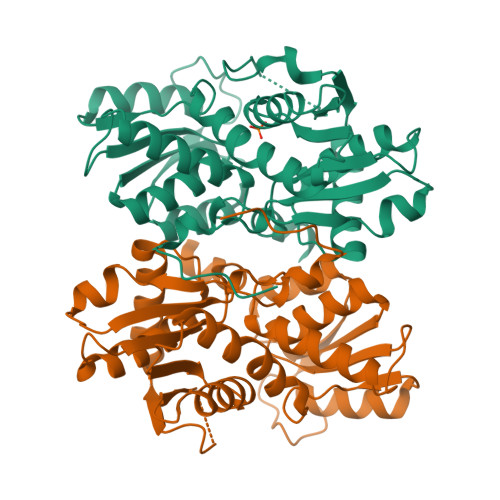 RCSB PDB - 7XRQ: The Catalytic Core Structure of Cystathionine beta ...