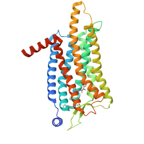 RCSB PDB - 7XRR: Crystal structure of the human OX2R bound to the ...