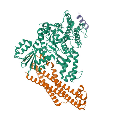 RCSB PDB - 7XSJ: The structure of the Mint1/Munc18-1/syntaxin-1 complex