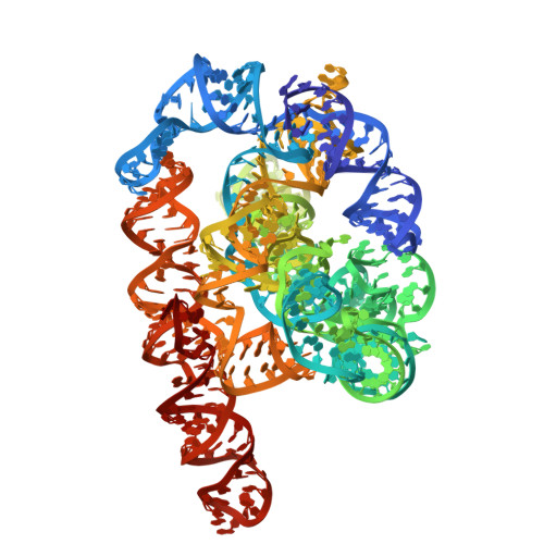 RCSB PDB - 7XSL: Misfolded Tetrahymena ribozyme conformation 2