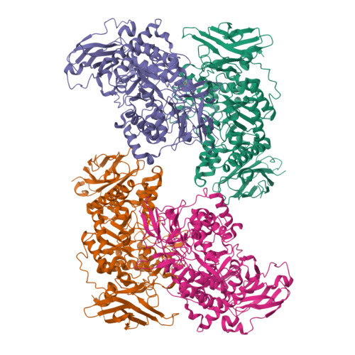 RCSB PDB - 7XSY: Ligand free structure of branching enzyme isoform 3 ...
