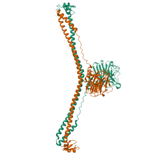 RCSB PDB - 7XT2: Crystal structure of TRIM72
