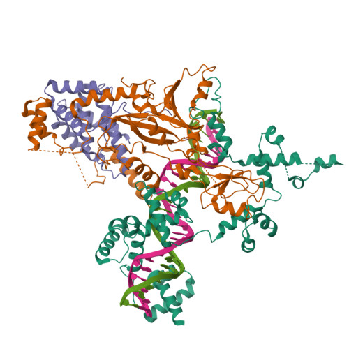 RCSB PDB - 7XUR: The cryo-EM structure of human mini-SNAPc in complex ...