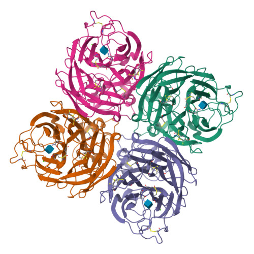 RCSB PDB - 7XVR: Structure of neuraminidase from influenza B-like ...
